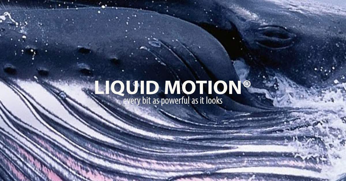 Liquid Motion®: Award-Winning Underwater Film Producer; Professional ...